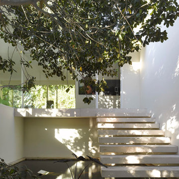 75 Beautiful Modern Atrium Home Design Ideas & Designs | Houzz AU