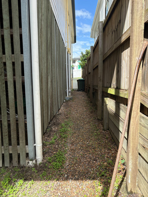 Pathway side of house