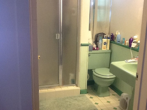 Need color scheme for Ming green bathroom