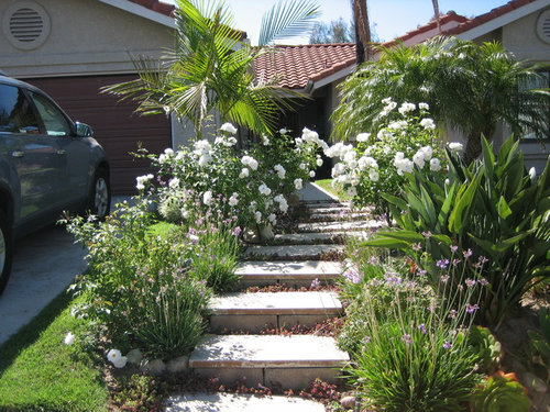 Need Help Designing a Private Front Courtyard!