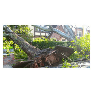 Emergency Tree Service Virginia Beach - Exterior - Other - by Tracstar ...