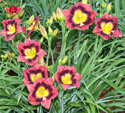 Some of Ron Reimer's and a Few Others from Today