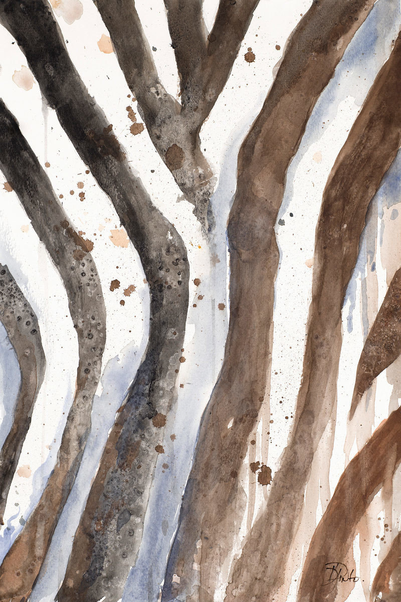 Watercolor Animal Skin II, 16x24 - Contemporary - Prints And Posters ...