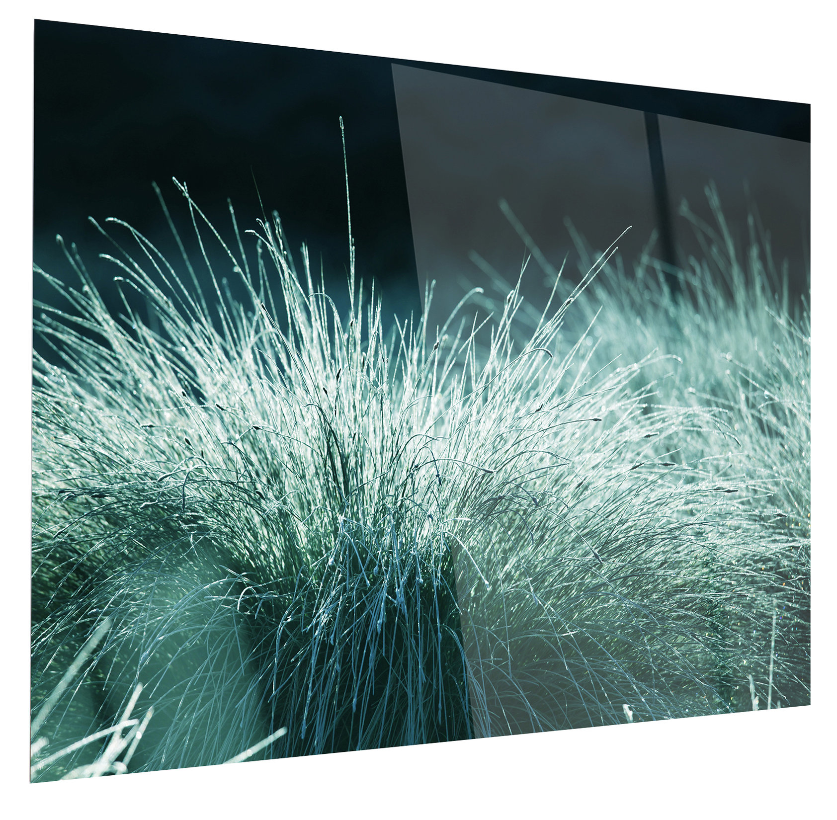 "Wet Green Grass in Downpour", 28"x12" - Contemporary - Metal Wall Art ...