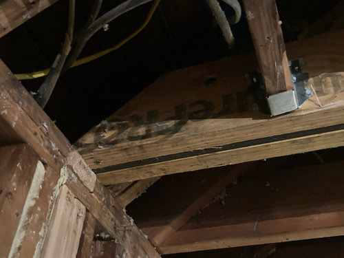 Contractor cut LVL w flitch plate