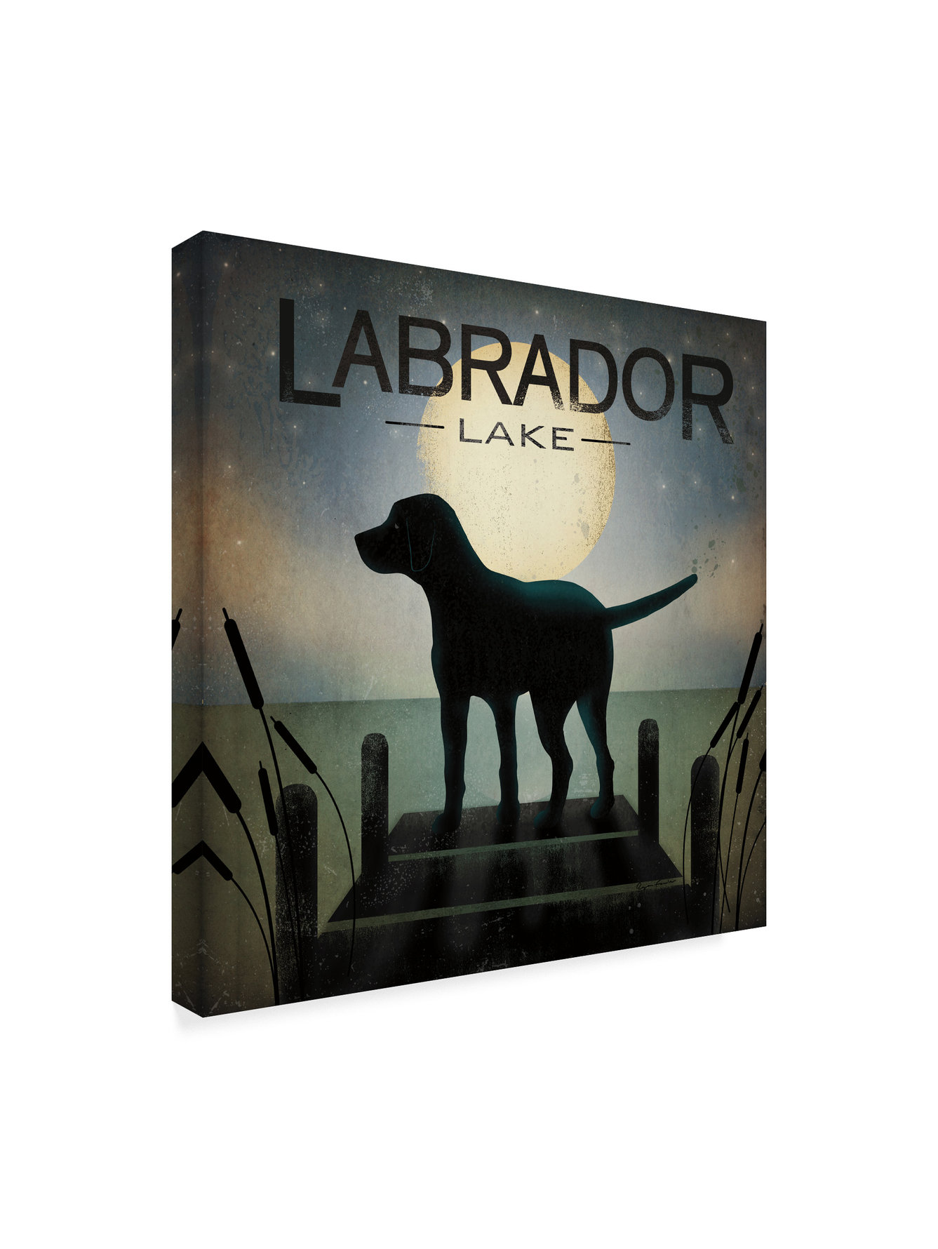 Ryan Fowler 'Moonrise Black Dog - Labrador Lake' Canvas Art, 24"x24 ...