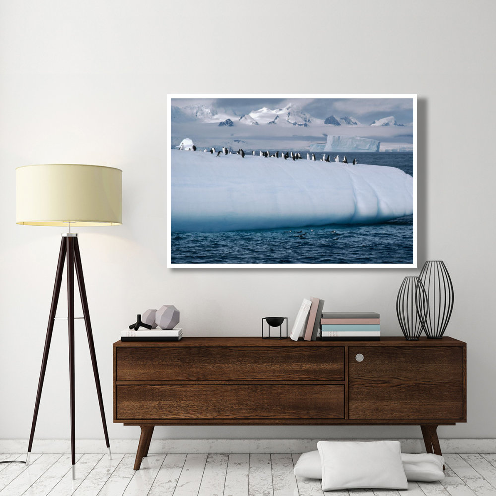 Chinstrap Penguin Group On Iceberg, Palmer Peninsula, Antarctica-Paper Art, 40"x60" - Beach ...