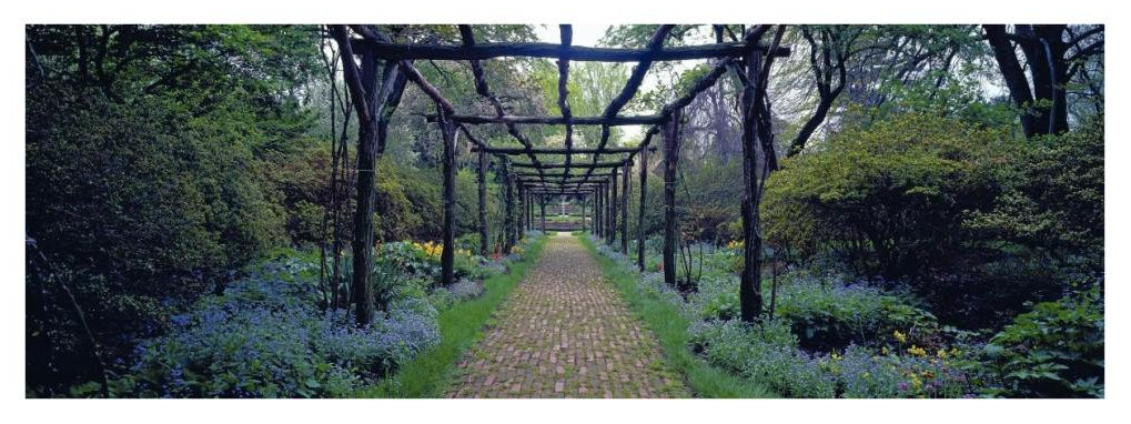 "Garden Path, Old Westbury Gardens, Long Island" Wall Art - Paper Art, 26"x74" - Farmhouse ...