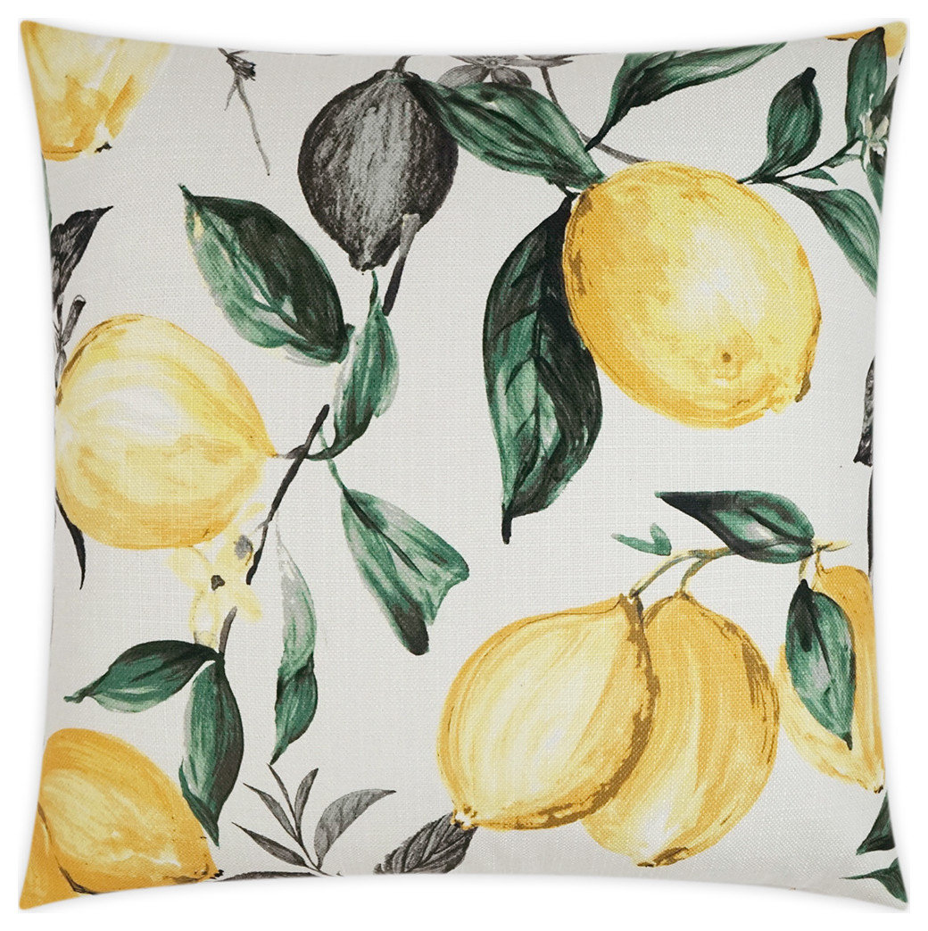 Pucker Pillow, 24" x 24" - Farmhouse - Decorative Pillows - by ...