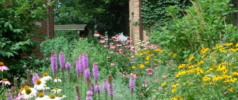 ECO SCAPES, INC. - Project Photos & Reviews - Wheaton, IL US | Houzz