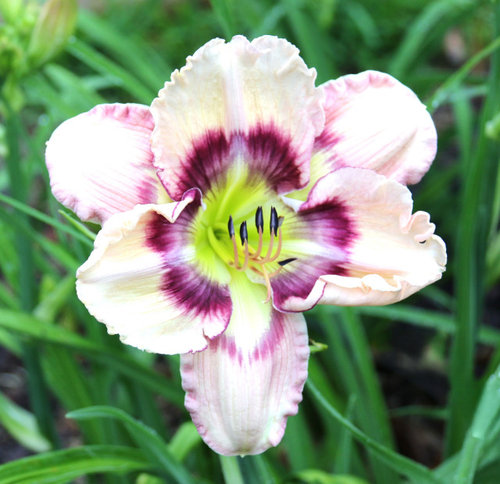 Some of Ron Reimer's and a Few Others from Today