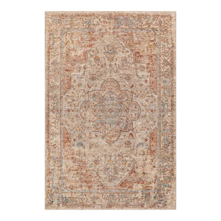 Aspendos APS-2305 Area Rug, 7'10"x10'3" - Contemporary - Area Rugs - by ...