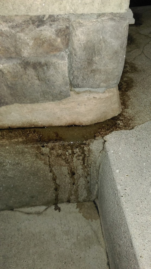 My column is leaking