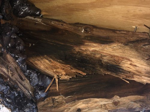 Rotted rafter tail - Fix | DIY Home Improvement Forum