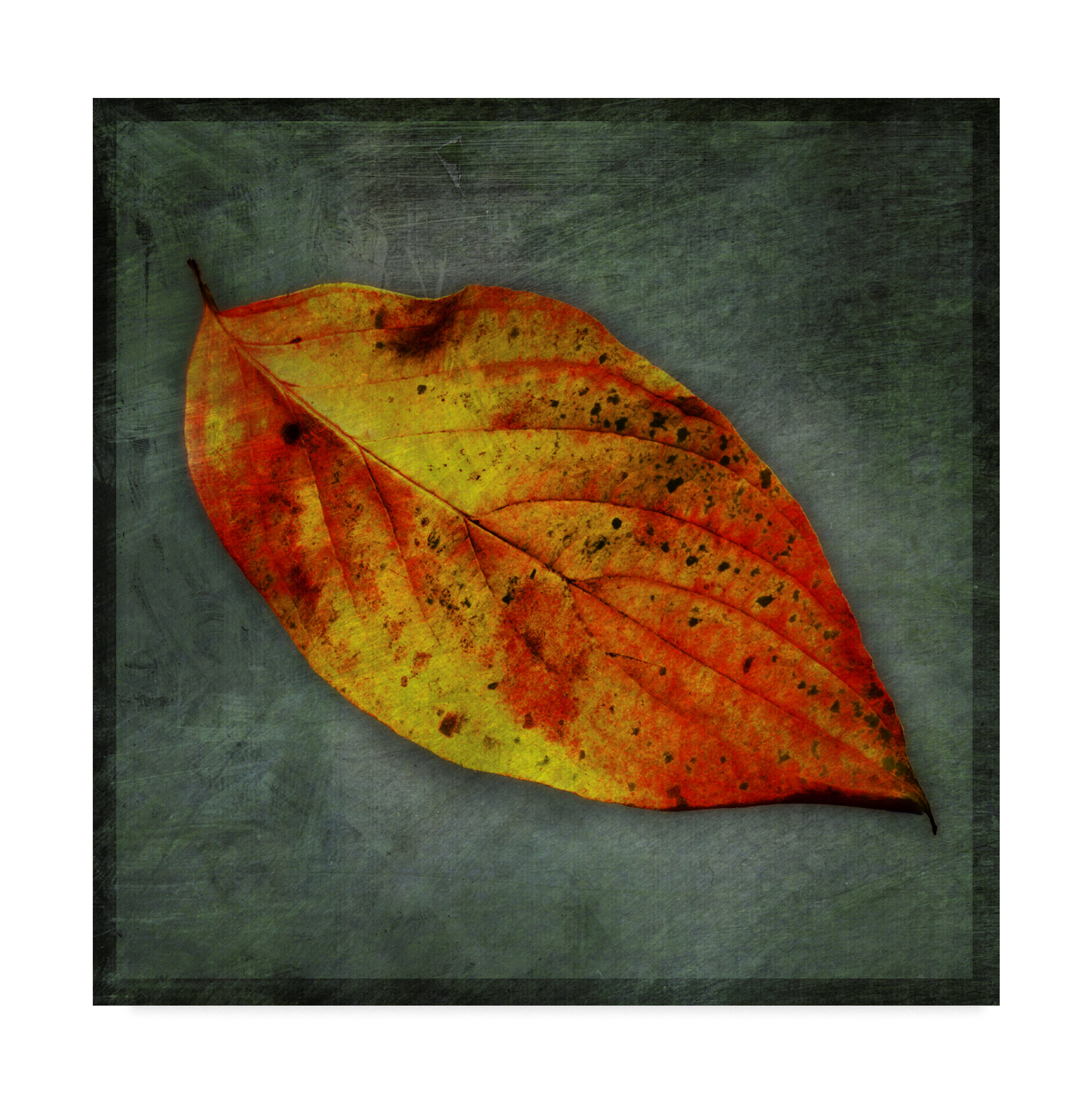John W. Golden 'Dogwood Yellow' Canvas Art, 18"x18" - Contemporary ...