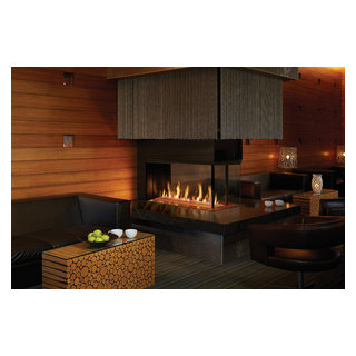 DaVinci Linear Modular Fireplaces - Contemporary - Vancouver - by ...