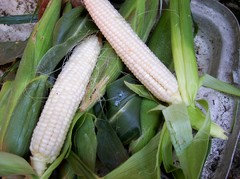 Silver Queen and Silver King corn questions