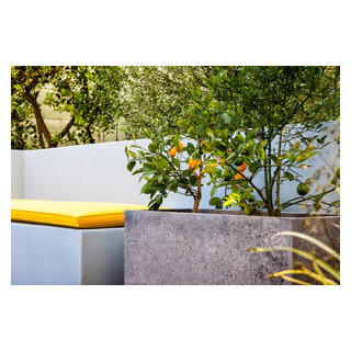 Modern Irvine - Modern - Orange County - by Studio H Landscape ...