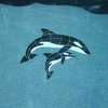 Orca & Baby Ceramic Swimming Pool Mosaic, 36"x34" - Beach Style ...