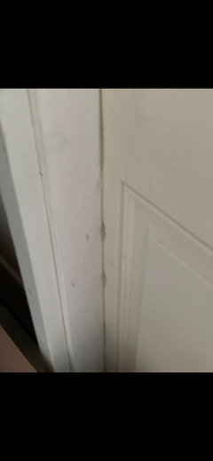 Problems with ThermaTru entry door
