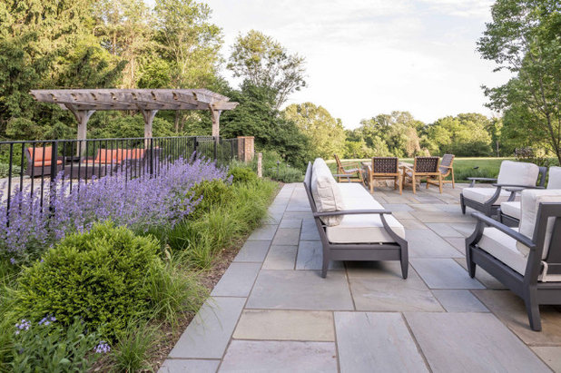 Yard of the Week: A Serene, Plant-Filled Backyard Sanctuary