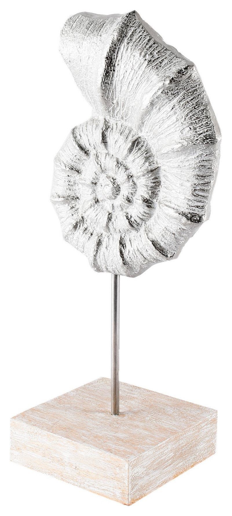 Cockle 5Lx4W White Coastal Iron Sea Shell, 5.1L x 3.9W x 12.3H - Beach ...