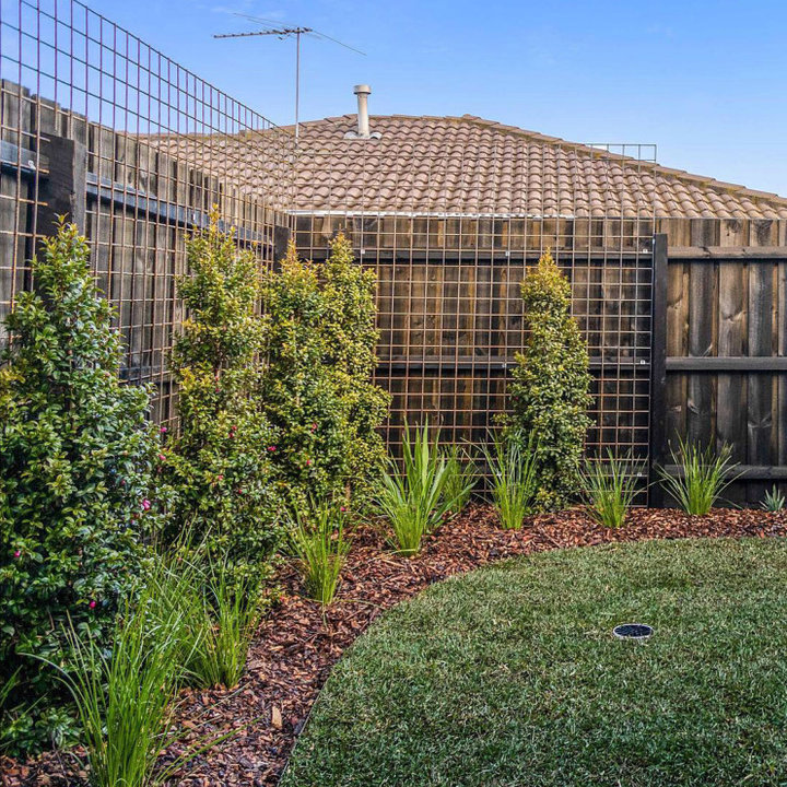 75 Beautiful Australian Native Garden Ideas & Designs - February 2026 ...