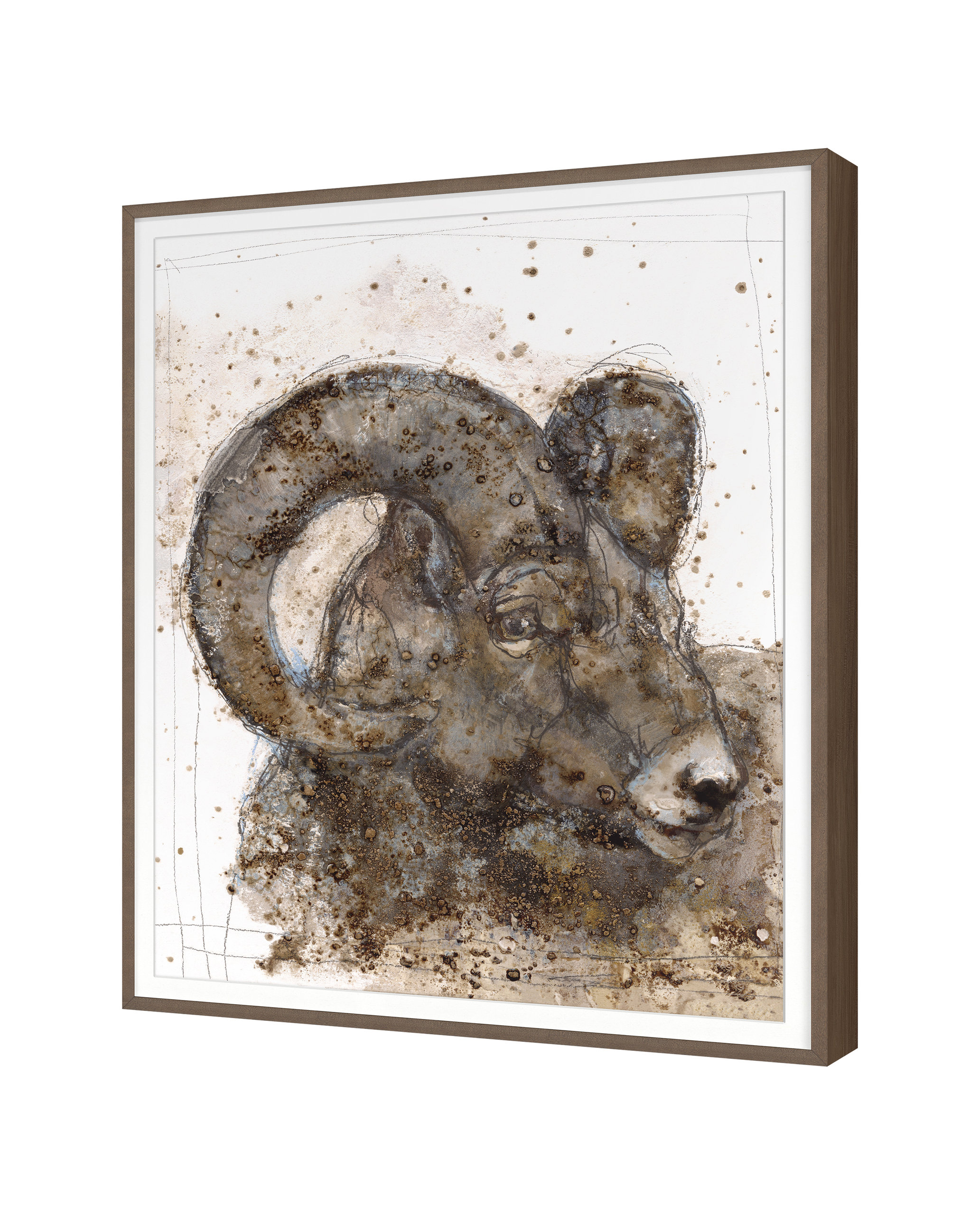 Bighorn Sheep 2 Fine Art Print, 44"x36" - Farmhouse - Fine Art Prints ...