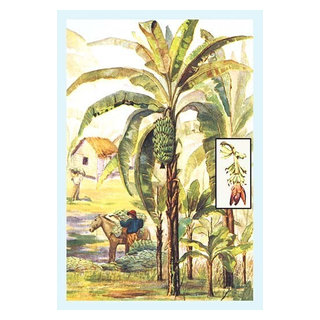 Banana Trees, 20" x 30" - Prints And Posters - by Buyenlarge Inc. | Houzz