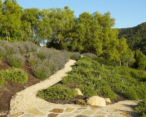 Crushed Limestone Path Home Design Ideas, Renovations & Photos