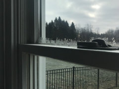 Need help with shallow (1/2 depth window) depth window treatment ideas