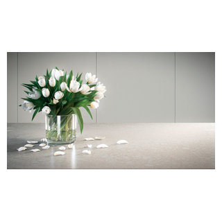 5222 Adamina Quartz - by Caesarstone | Houzz