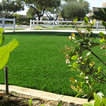 Front Yard Landscaping - Modern - Garage - Los Angeles - by Artificial ...