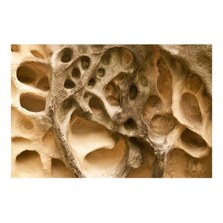 Cavernous Weathering In Sandstone Rock, Sydney, Australia-Paper Art, 40 ...