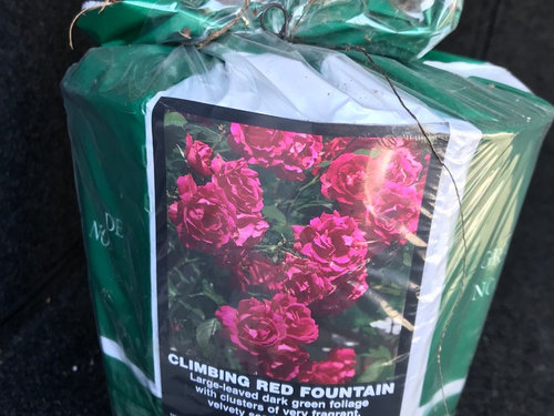 Climbing Red Fountain