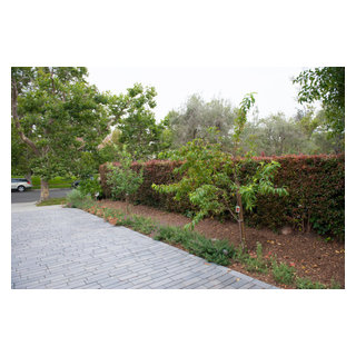 Fruit Tree Privacy Screen - Traditional - Landscape - Los Angeles - by ...