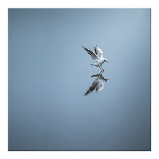 Touchdown' Canvas Wall Decor, 12"x12" - Contemporary - Prints And ...