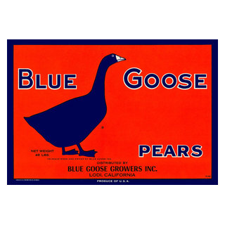 Blue Goose Pears Print, 16" x 24" - Contemporary - Prints And Posters ...