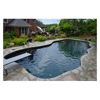 Free Form Gunite Pool - Traditional - Other - by Anchor Pools and Spas ...