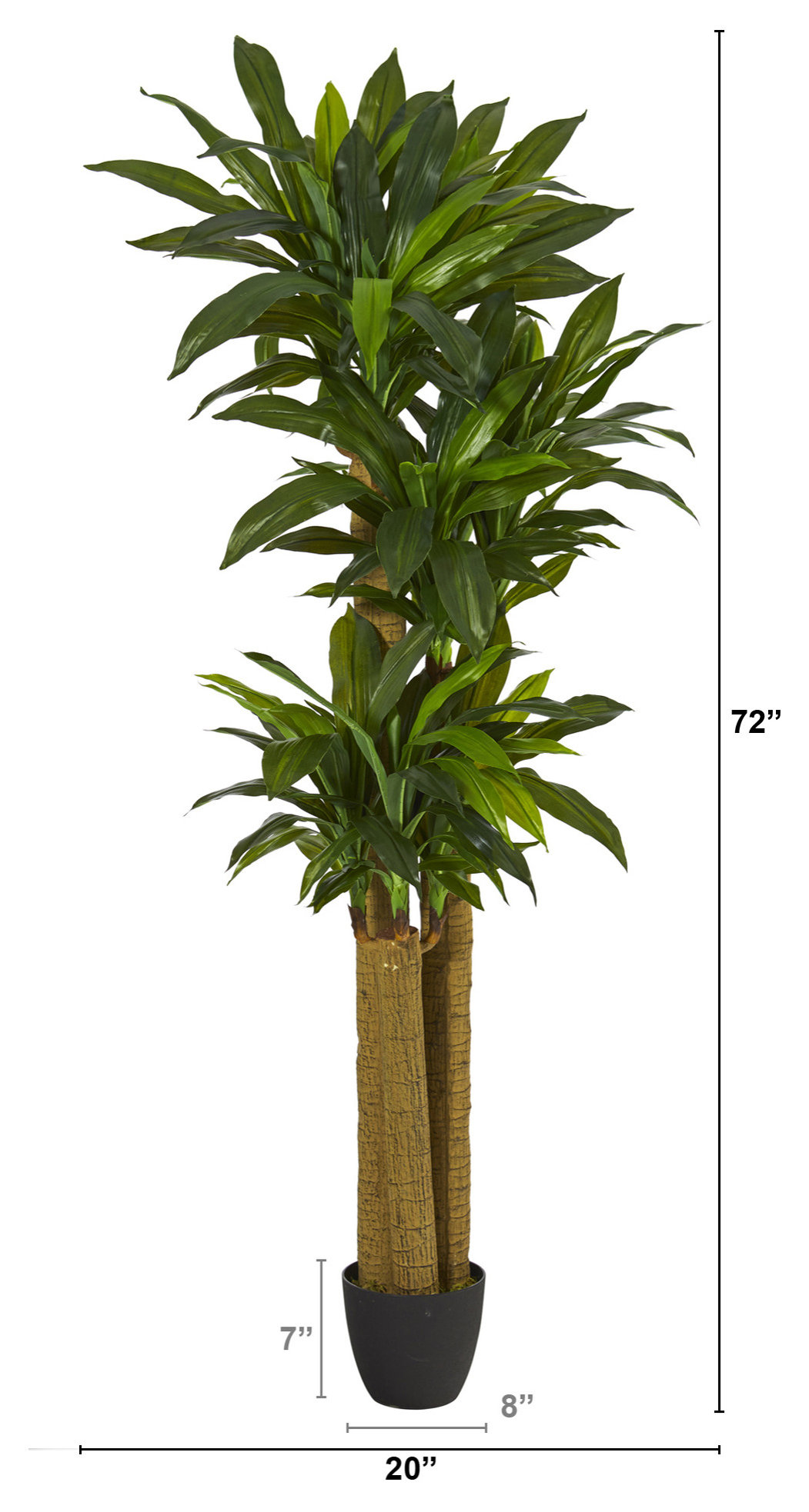 6' Corn Stalk Dracaena Artificial Plant, Real Touch - Modern ...