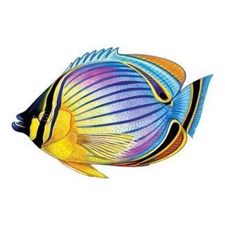Redfin Butterflyfish Porcelain Swimming Pool Mosaic, 5"x3" - Beach ...
