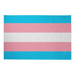 Transgender Chenille Rug, 2'x3' - Contemporary - Area Rugs - by E by ...