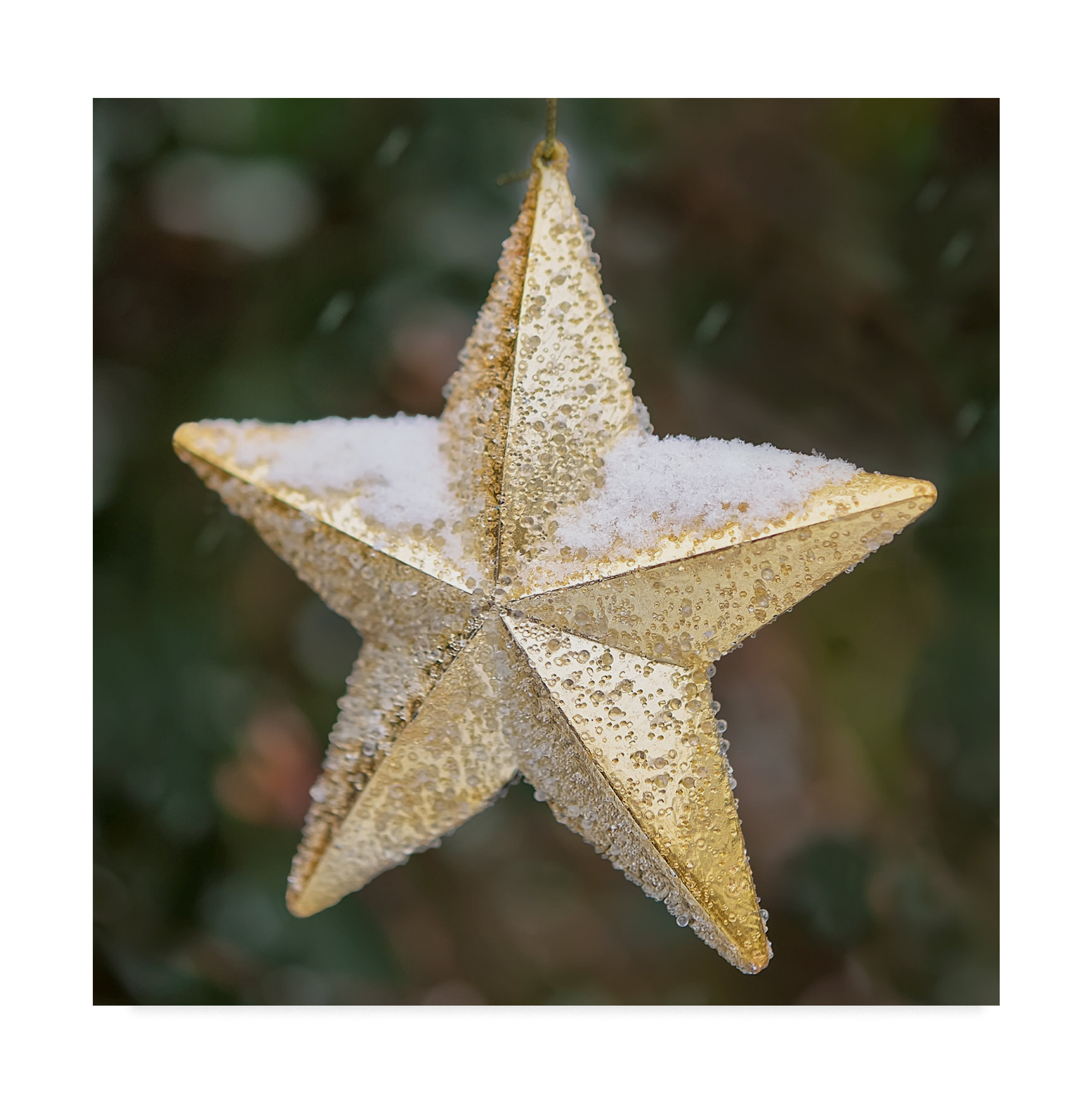 Cora Niele 'Golden Star With Snow' Canvas Art, 24"x24" - Contemporary ...