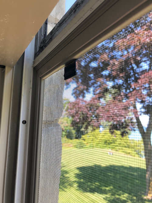 Window Screen Removal Help
