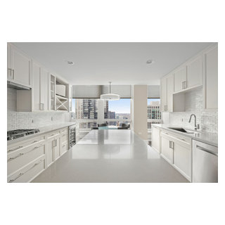Crisp White Kitchen - Contemporary - Kitchen - Chicago - by Habitar ...