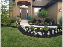 HELP! Snout House Needs Ideas! Is curb appeal possible?