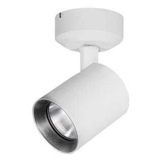 WAC-Lighting Lucio LED 22W Monopoint Light - Transitional - Outdoor ...