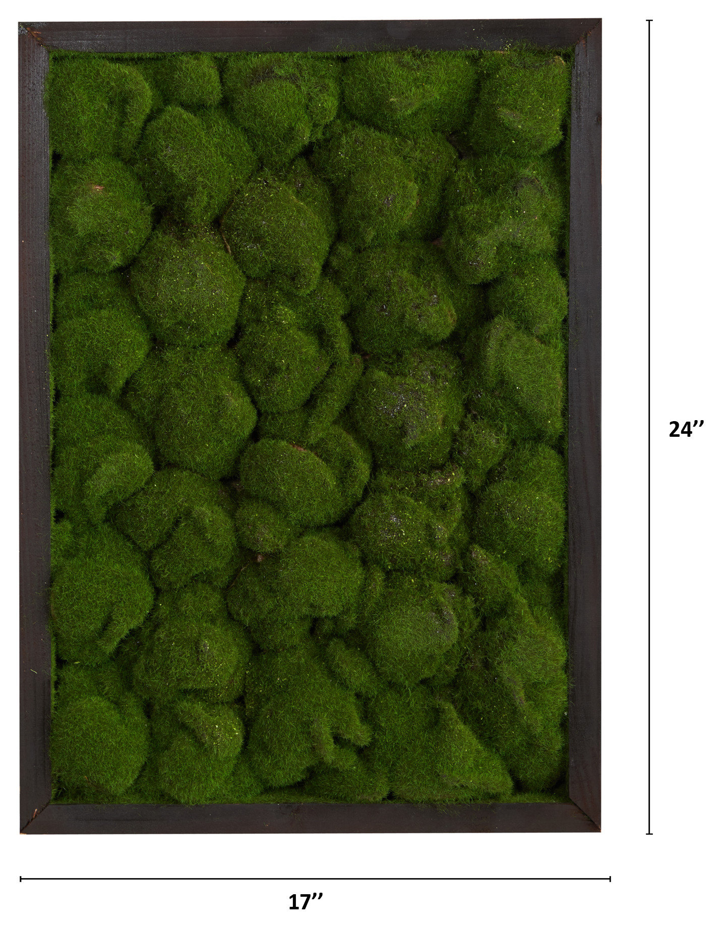 17" X 24" Artificial Moss Hanging Frame - Modern - Artificial Plants ...