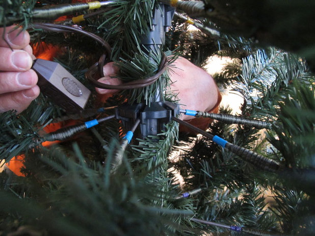 How to Put Lights on a Christmas Tree | Houzz