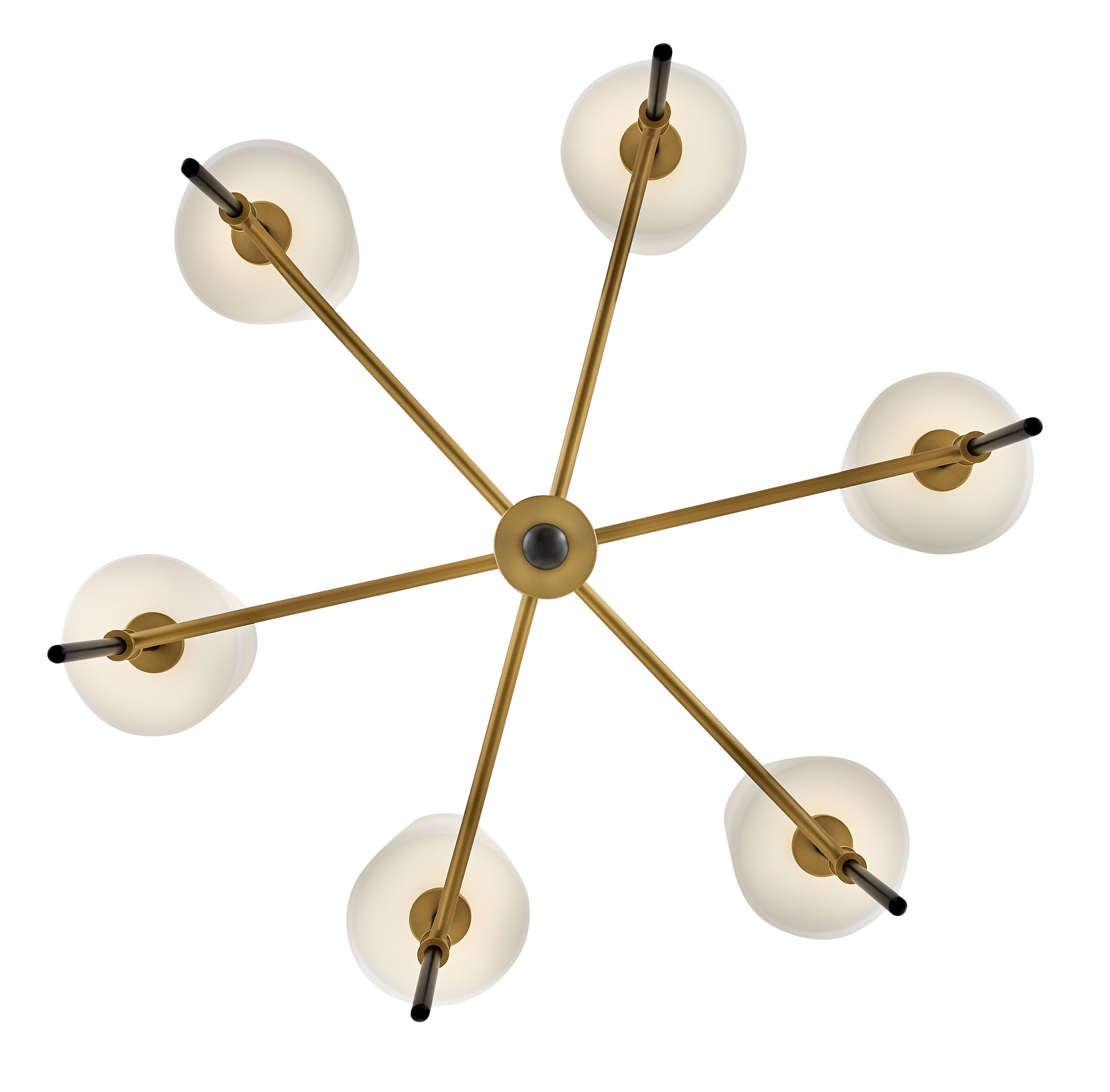 Hinkley Saunders Chandelier, Medium - Transitional - Chandeliers - by Hinkley | Houzz